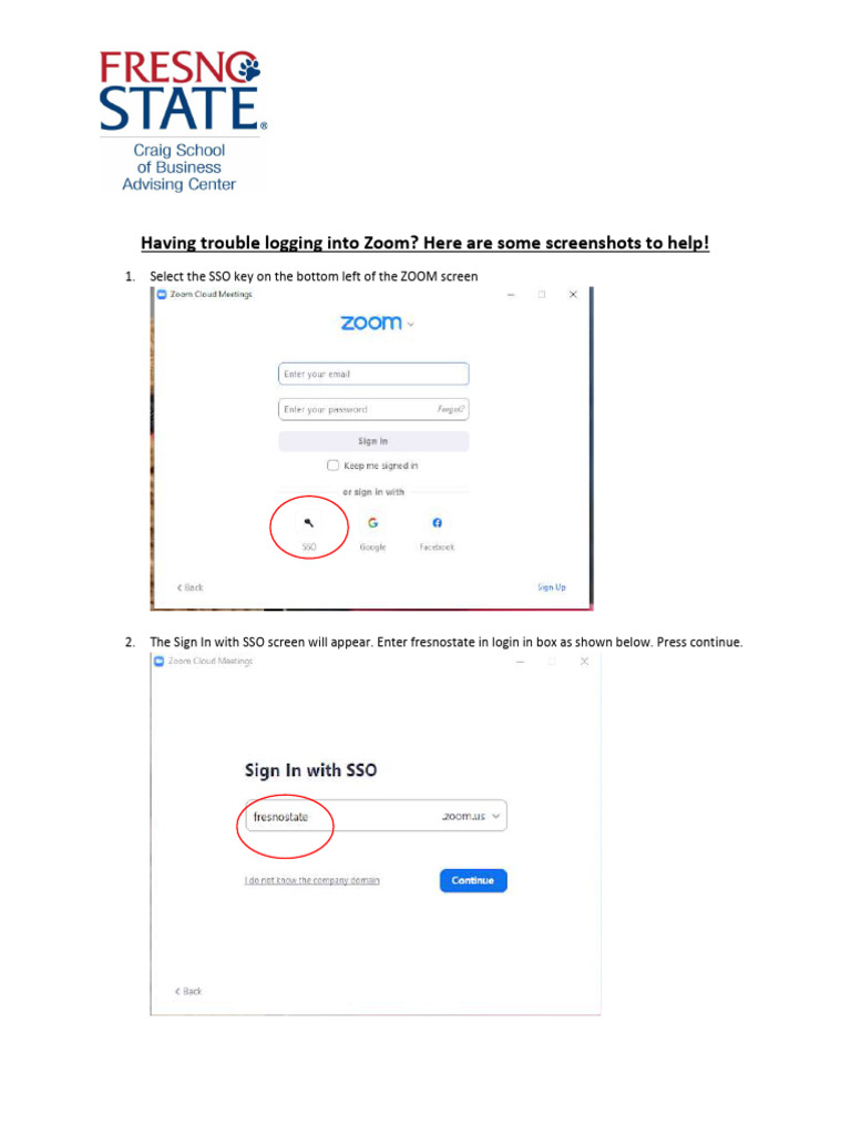 Zoom Instructions | PDF