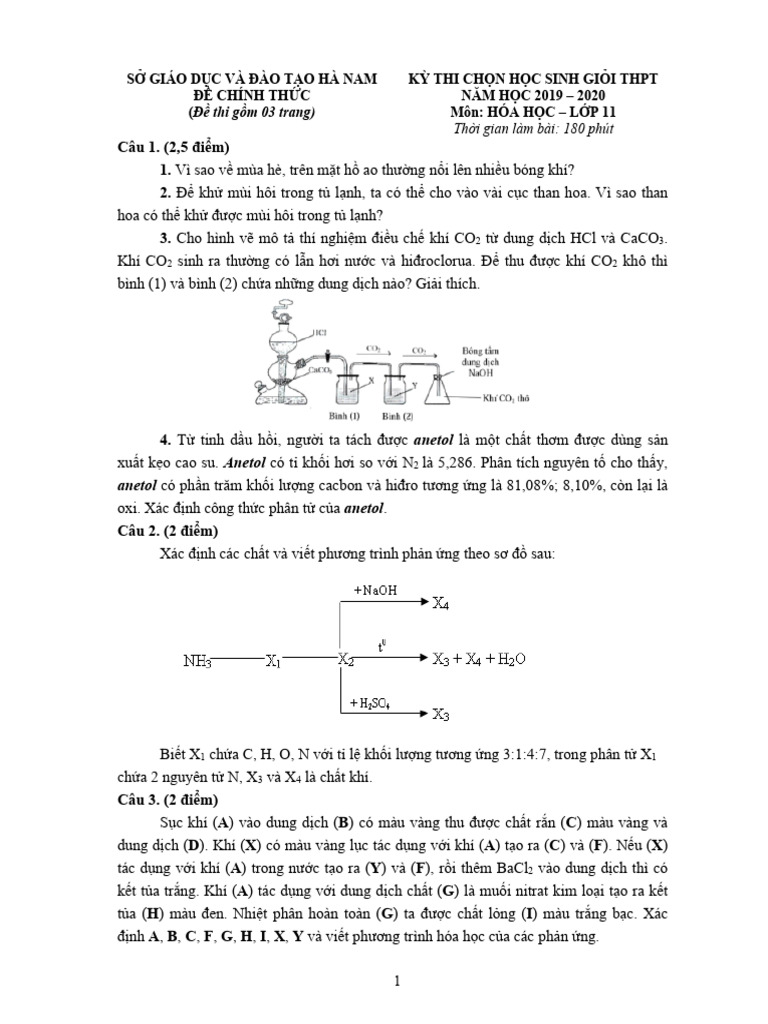 ĐỀ THI HSG HÓA 11 | PDF