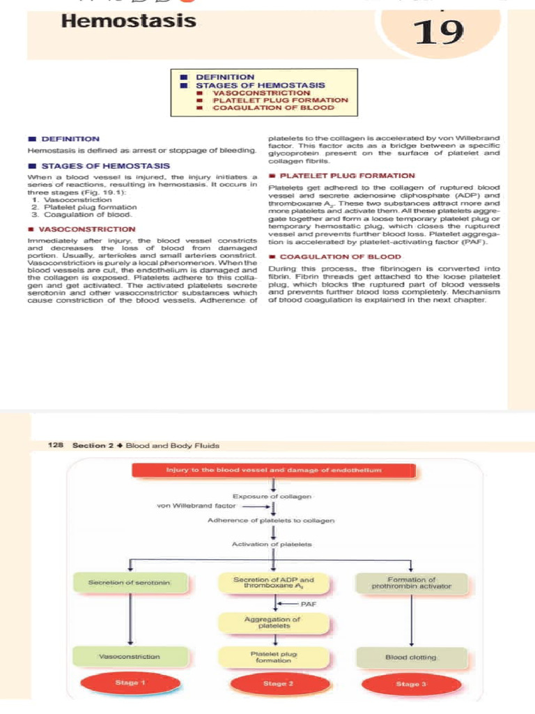 Hemostasis | PDF | Hemostasis | Platelet