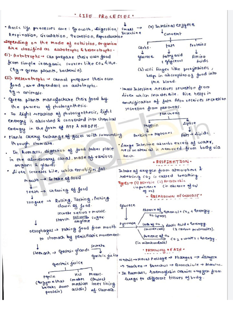 Biology One Page Note of All Chapters Class 10 | PDF