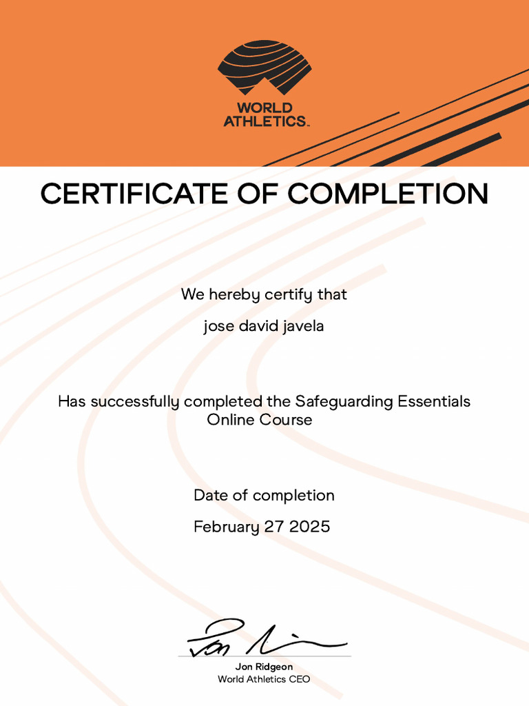 Safeguarding Essentials | PDF