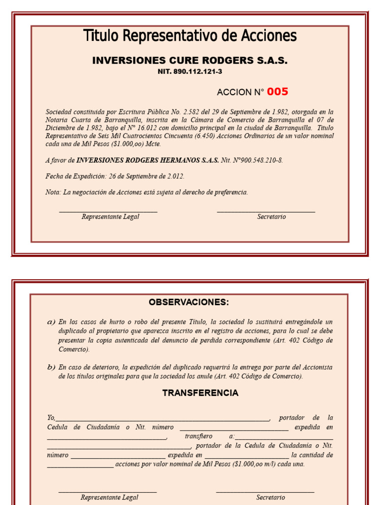 310185790-Modelo-de-Titulo-Representativo-de-Acciones-de-Sociedad | PDF