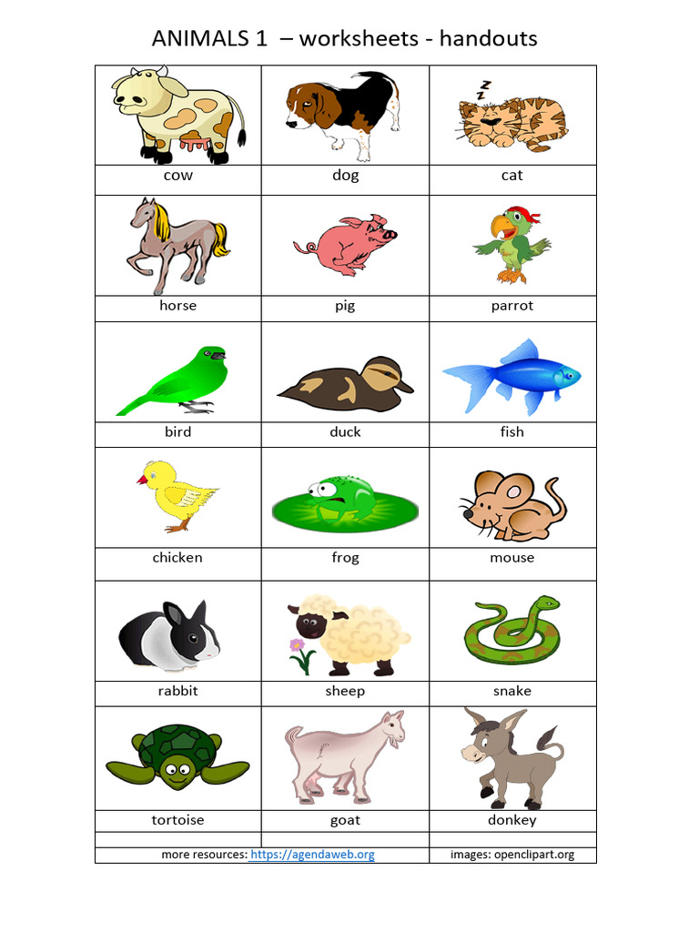 Animal Worksheets and Resources | PDF