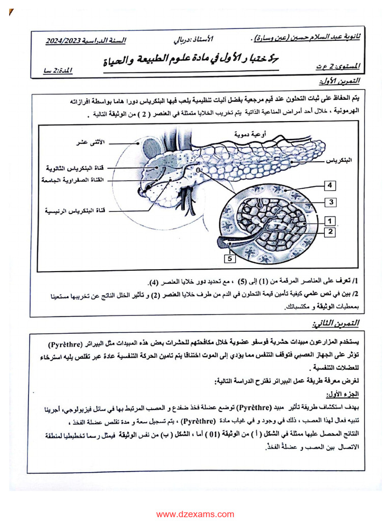 Dzexams 2as Sciences Naturelles 1027660 | PDF