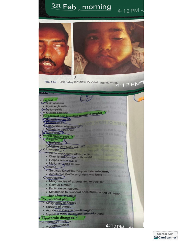 ENT Solved Ospe 2024.laiba | PDF