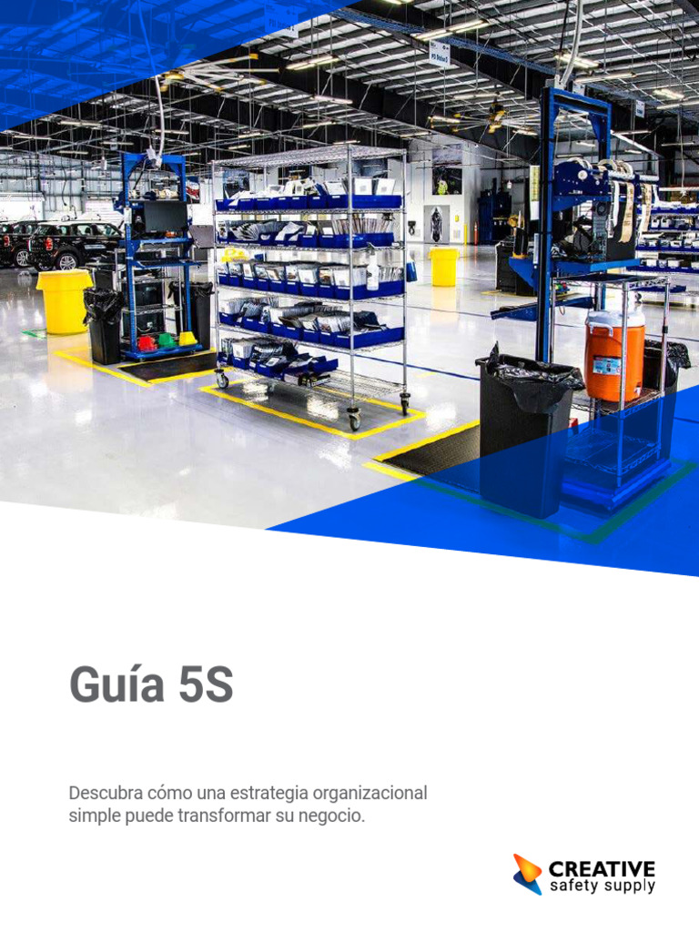 Guía Práctica de las 5S en Empresas | PDF | Usuario (informática)