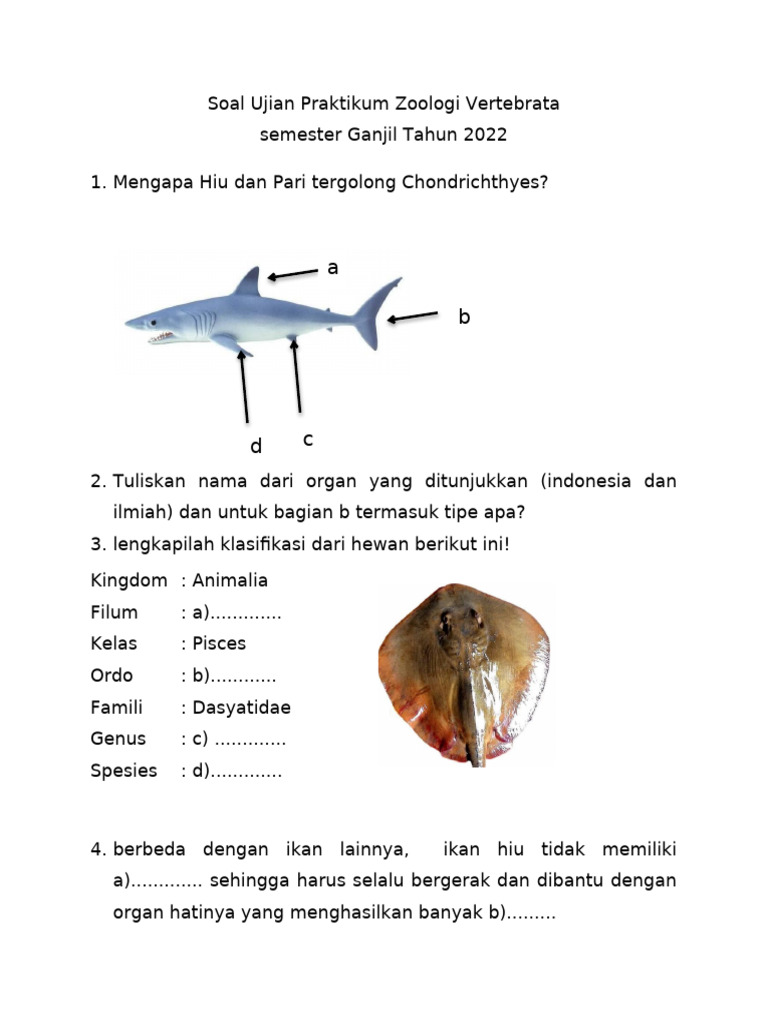 Fix Soal Ujian Praktikum Zoologi Vertebrata | PDF