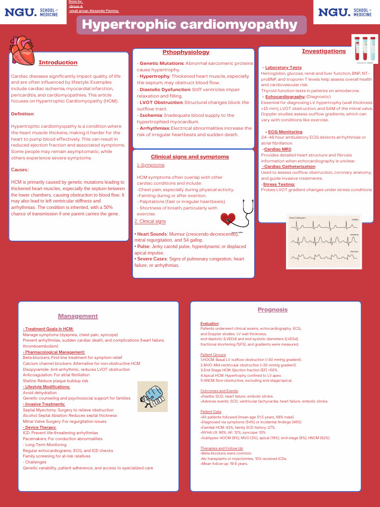 Hypertrophic Cardiomyopathy | PDF | Heart | Clinical Medicine