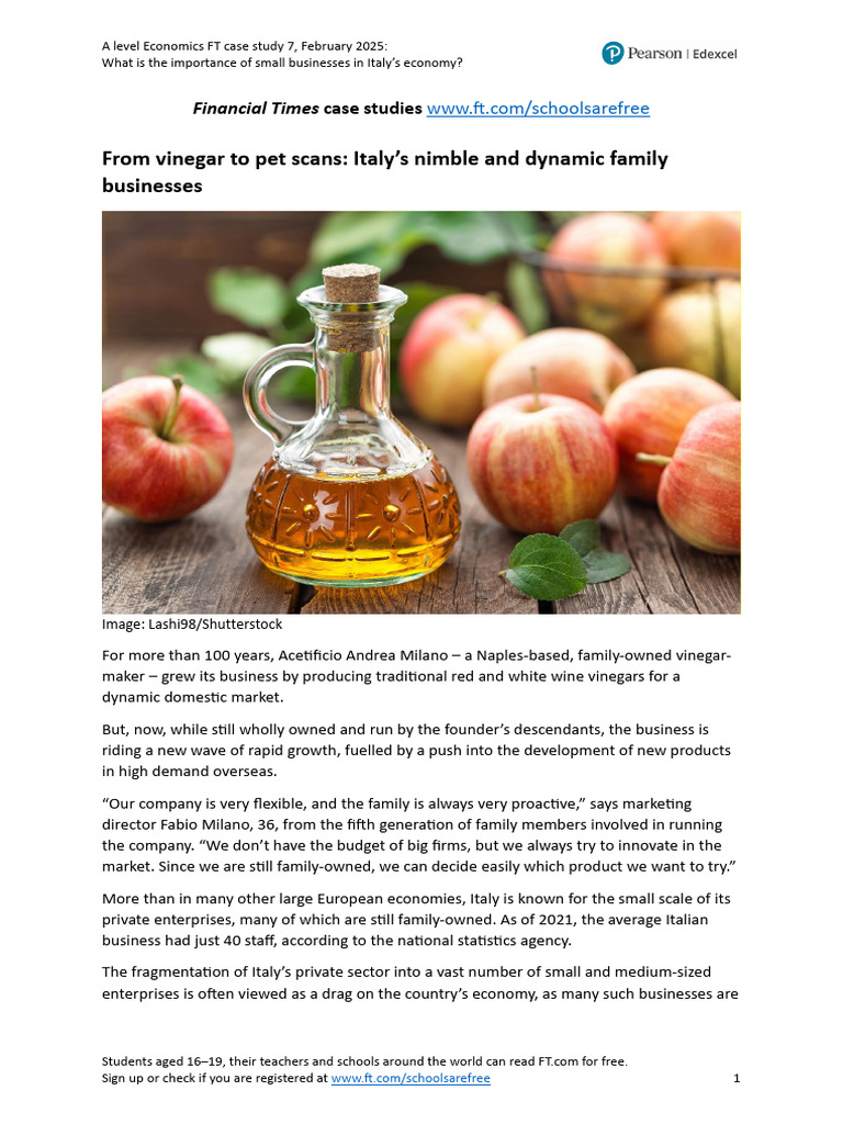 CIA4U Case Study - Italy's Small Businesses | PDF | Financial Times | Italy