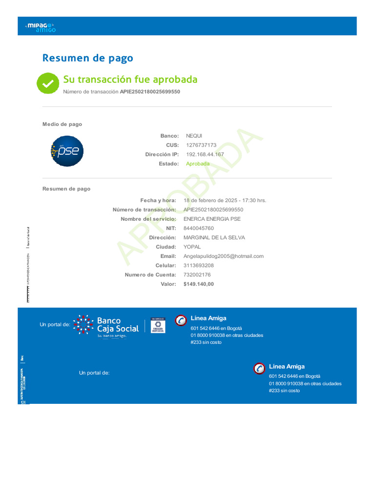 Apie2502180025699550 20250218 | PDF