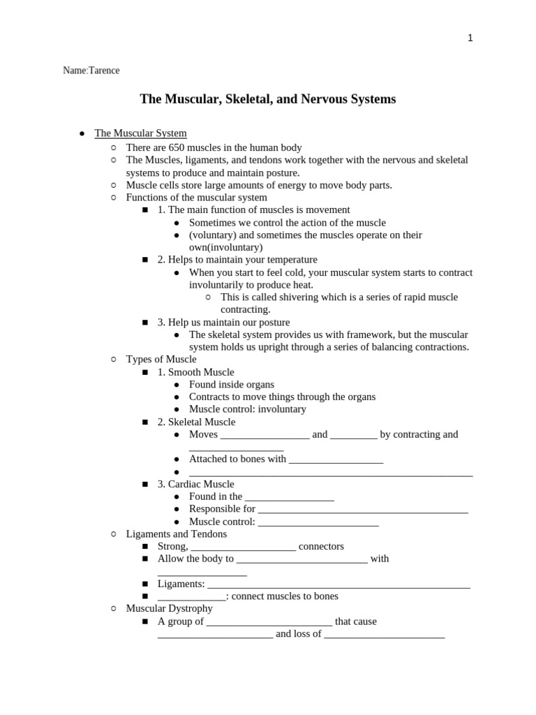 Human Muscular, Skeletal, Nervous Systems | PDF | Skeletal Muscle ...