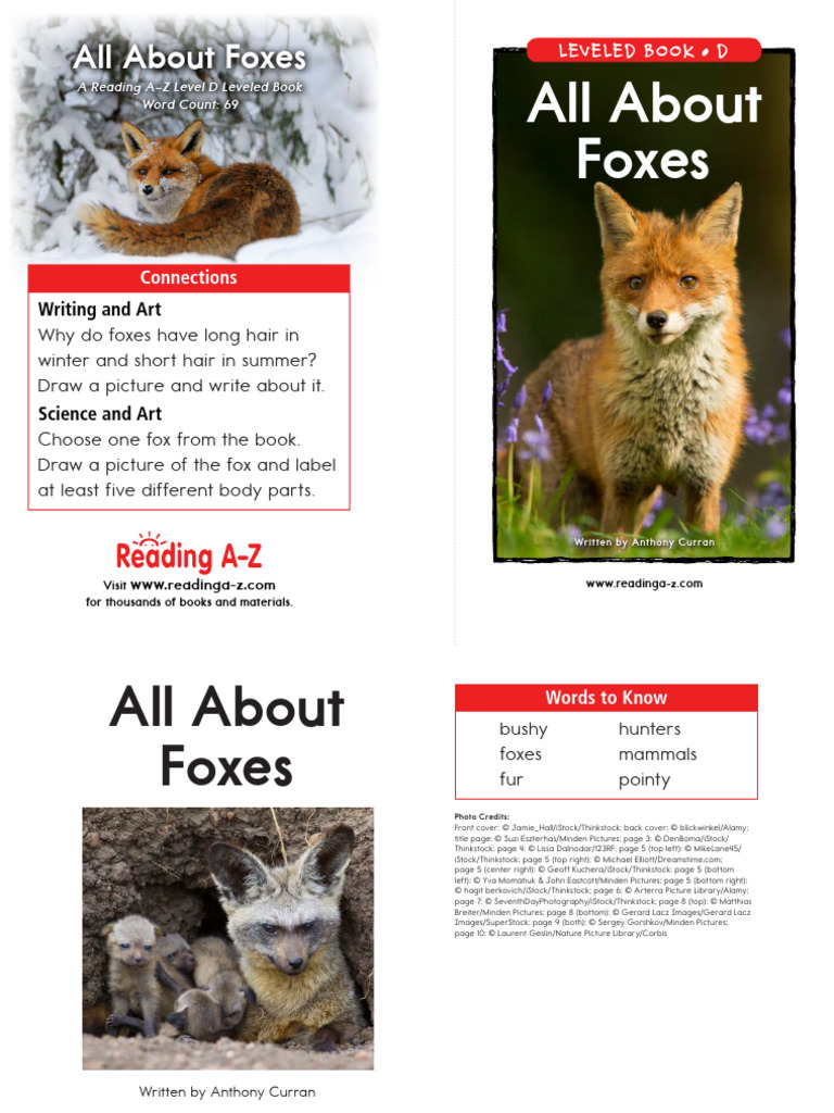 All About Foxes: Level D Book | PDF | Fur | Hunting