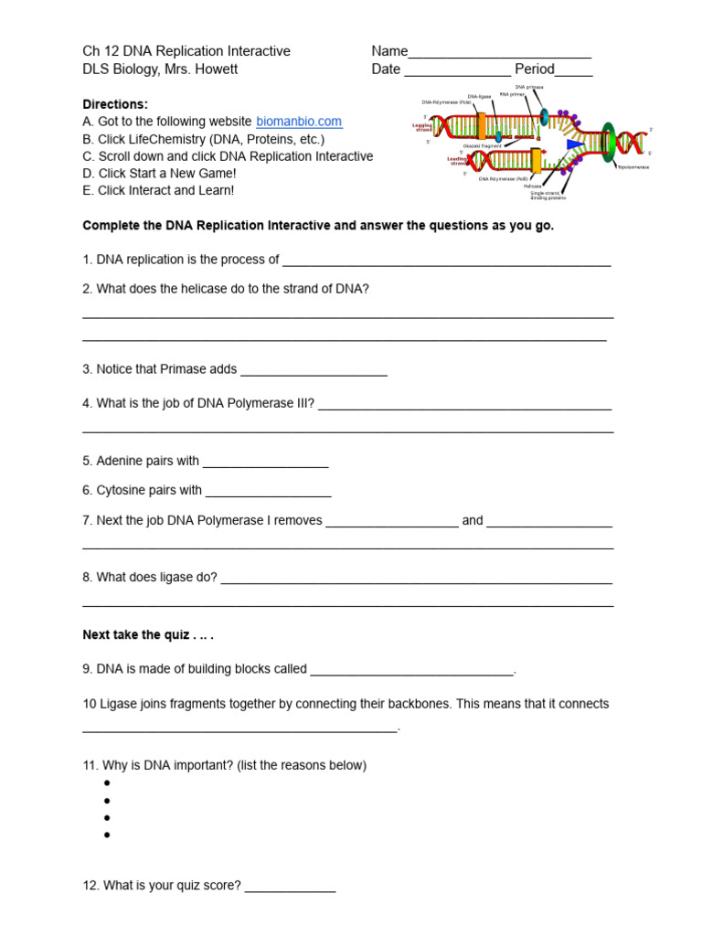 CH 12 DNA Replication Interactive | PDF