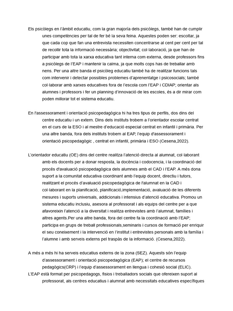 Text de Posicionament Finalll | PDF