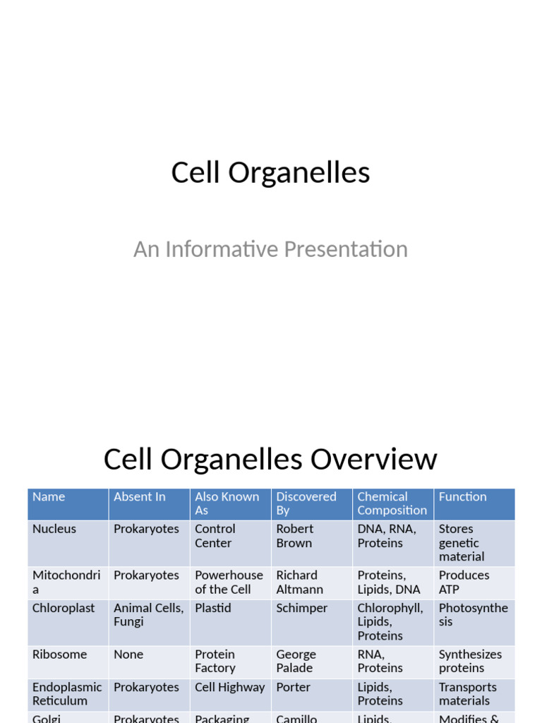 Cell Organelles Presentation | PDF