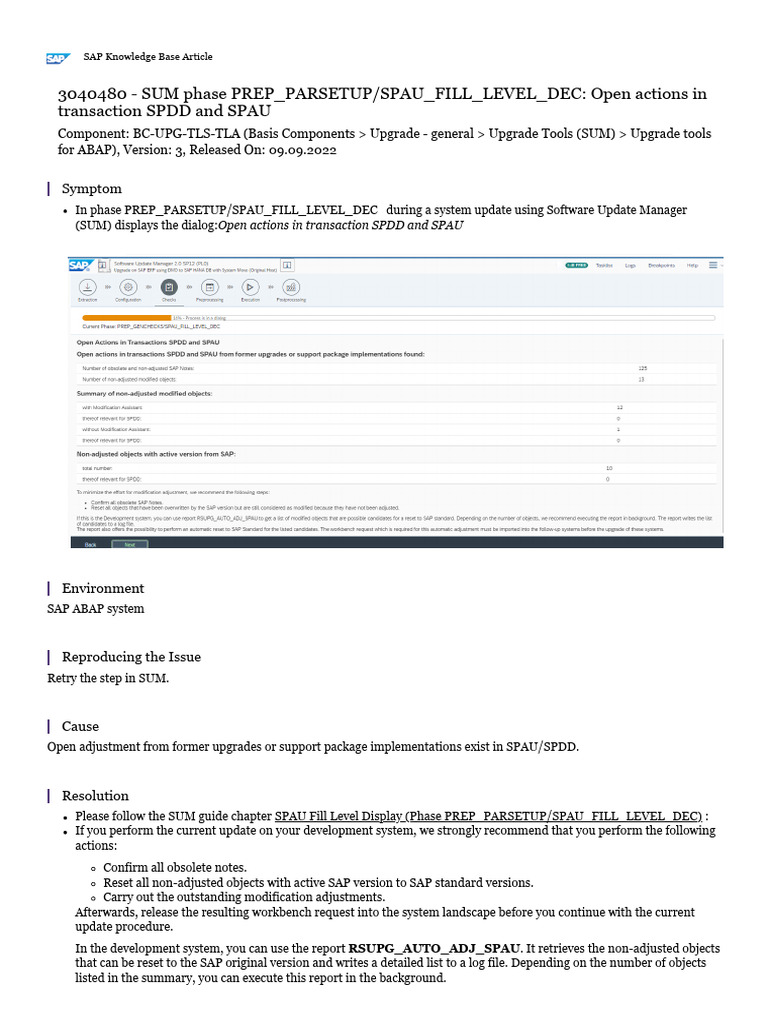 SUM Phase PREP - PARSETUP SPAU - FILL - LEVEL - DEC Open Actions in Transaction SPDD and SPAU ...