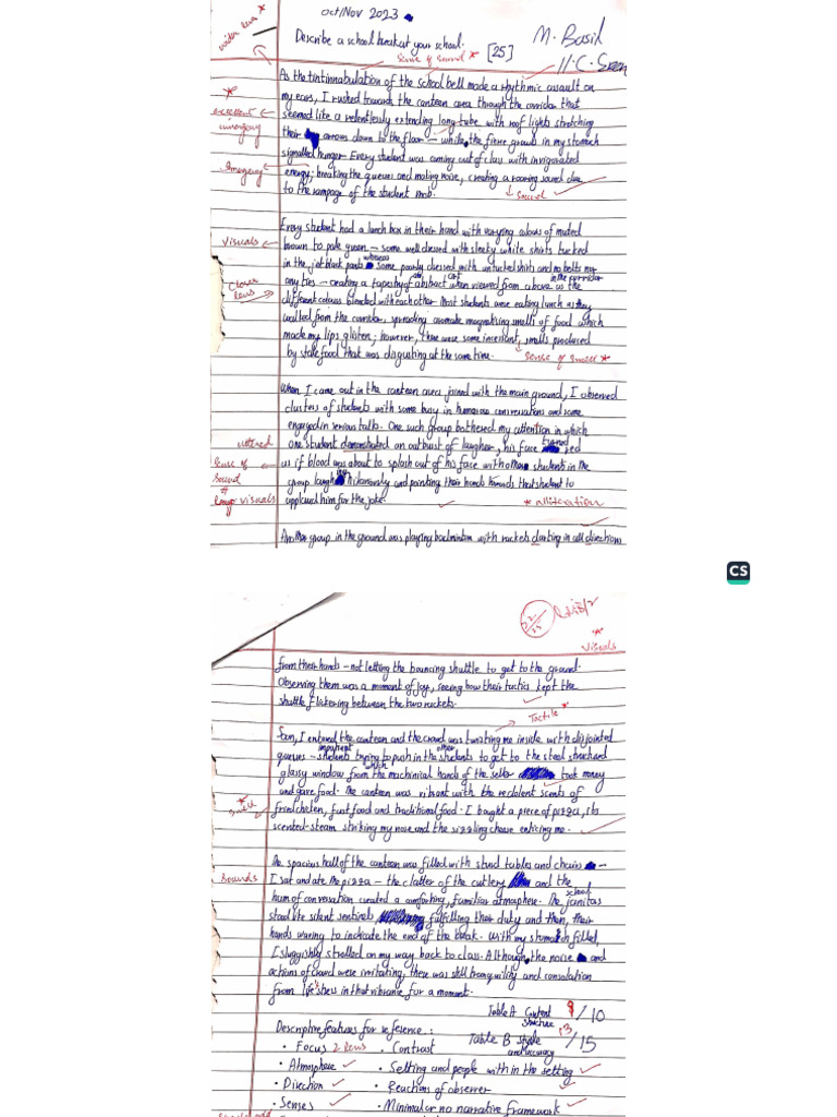 Exemplary Descriptive Essay | PDF