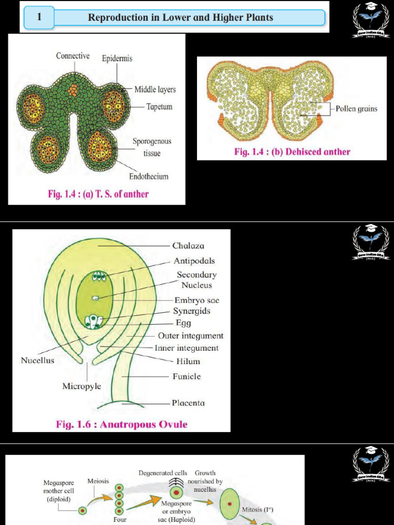 iMP BIO DIAGRAMS | PDF