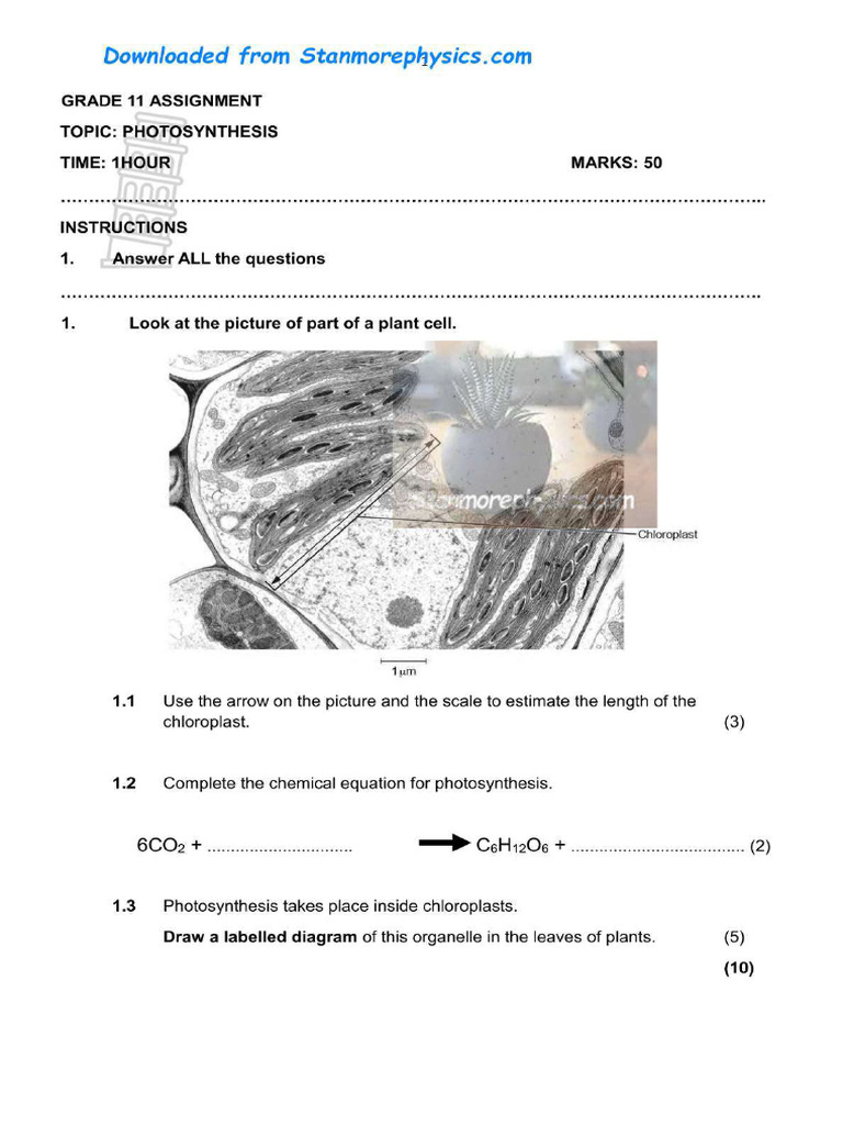 Life Sciences Grade 11 TERM2 Assignment 2024 and Memo | PDF