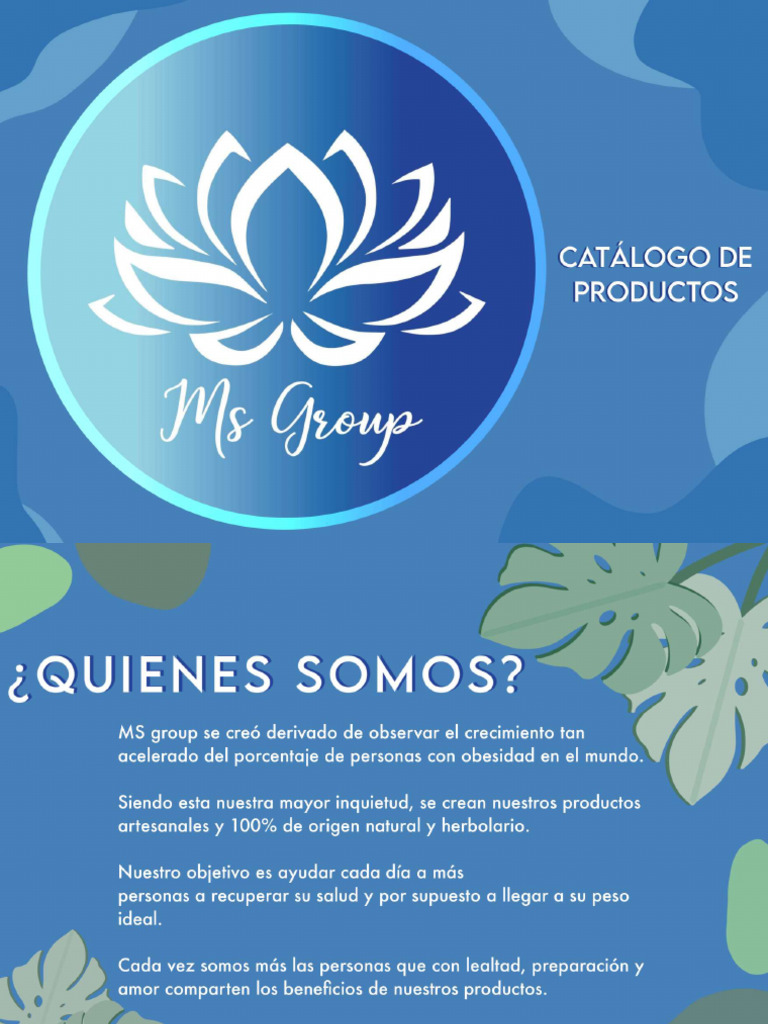 Catálogo MS Group | PDF