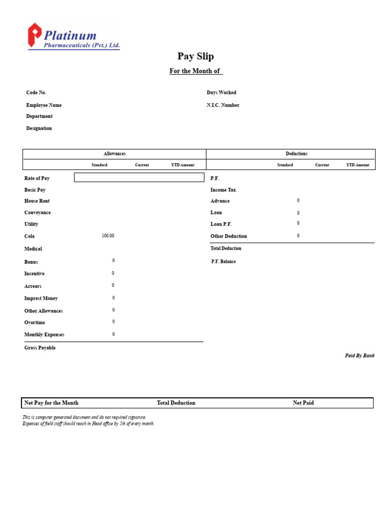 Pay Slip | PDF