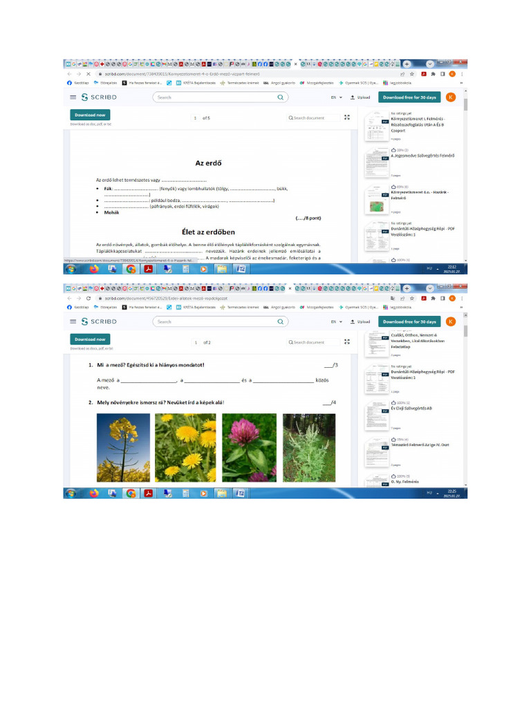 Erdo mezo ropi 4 oszt | PDF
