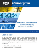 Osinergmin Manual Usuario SNE | PDF | Contraseña | Ingeniería de software