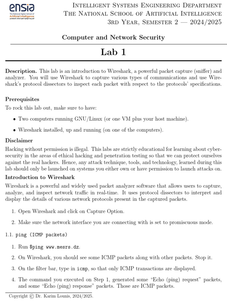 Lab_1__CNS_ | PDF | Transmission Control Protocol | Domain Name System