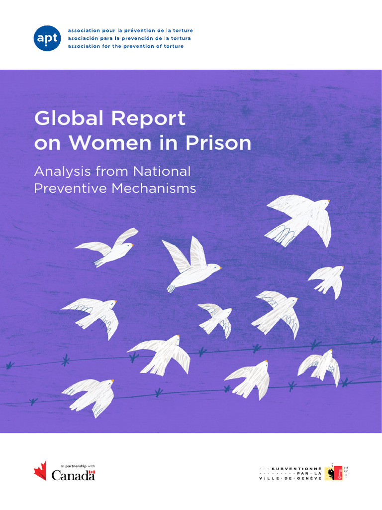 Women in Prison: Global Analysis Report | PDF | Prison | Justice