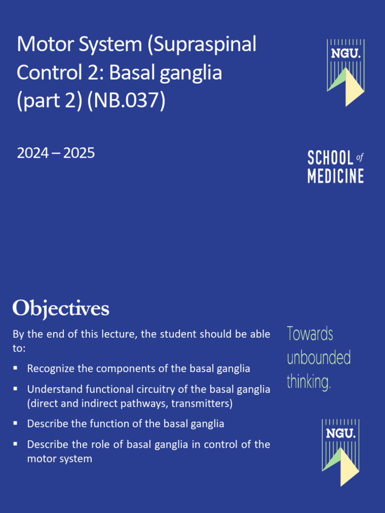 NB (037) Supraspinal Control 2 B (24-25) | PDF | Basal Ganglia | Striatum