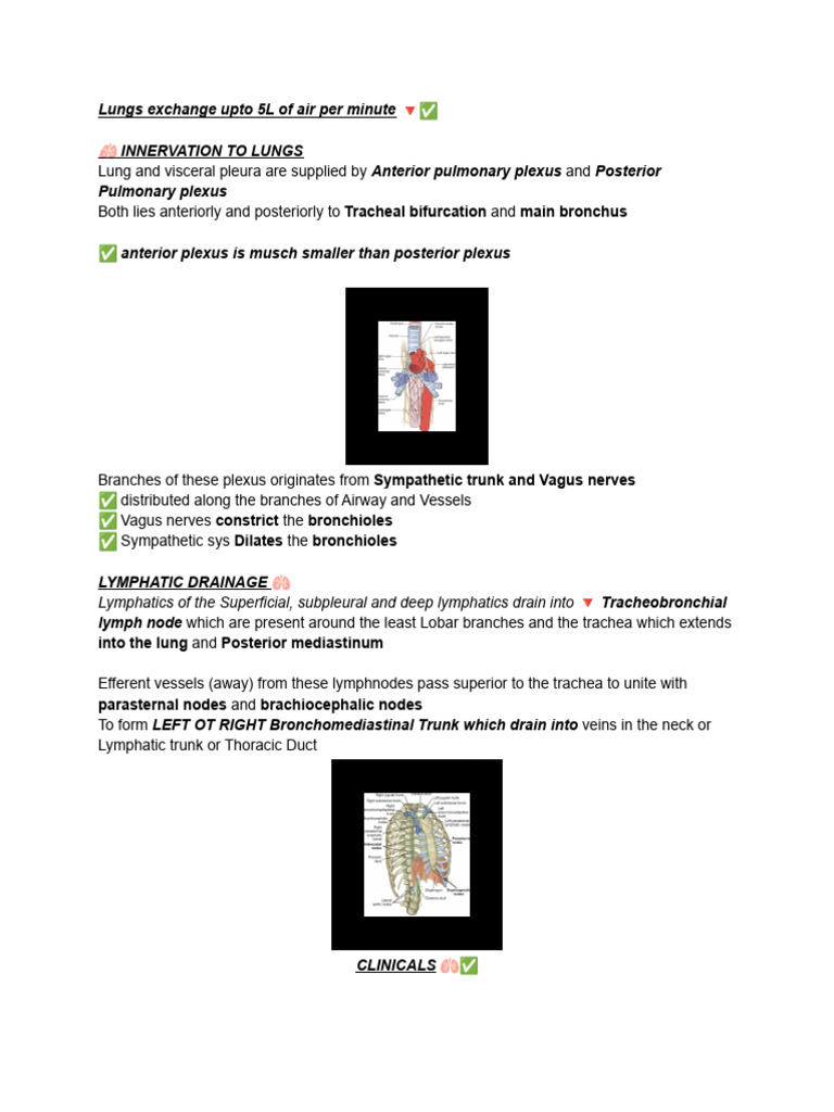 Innervation, Lymphatic and Clinicals | PDF | Lung | Respiratory Tract
