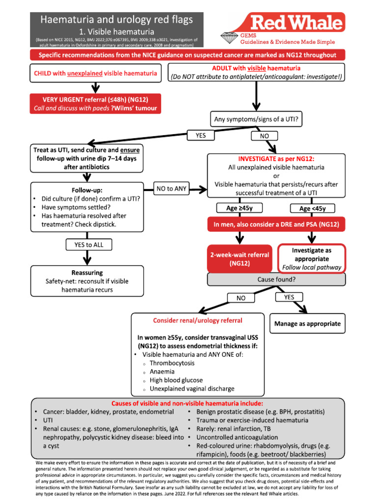 Haematuria GEMS | PDF