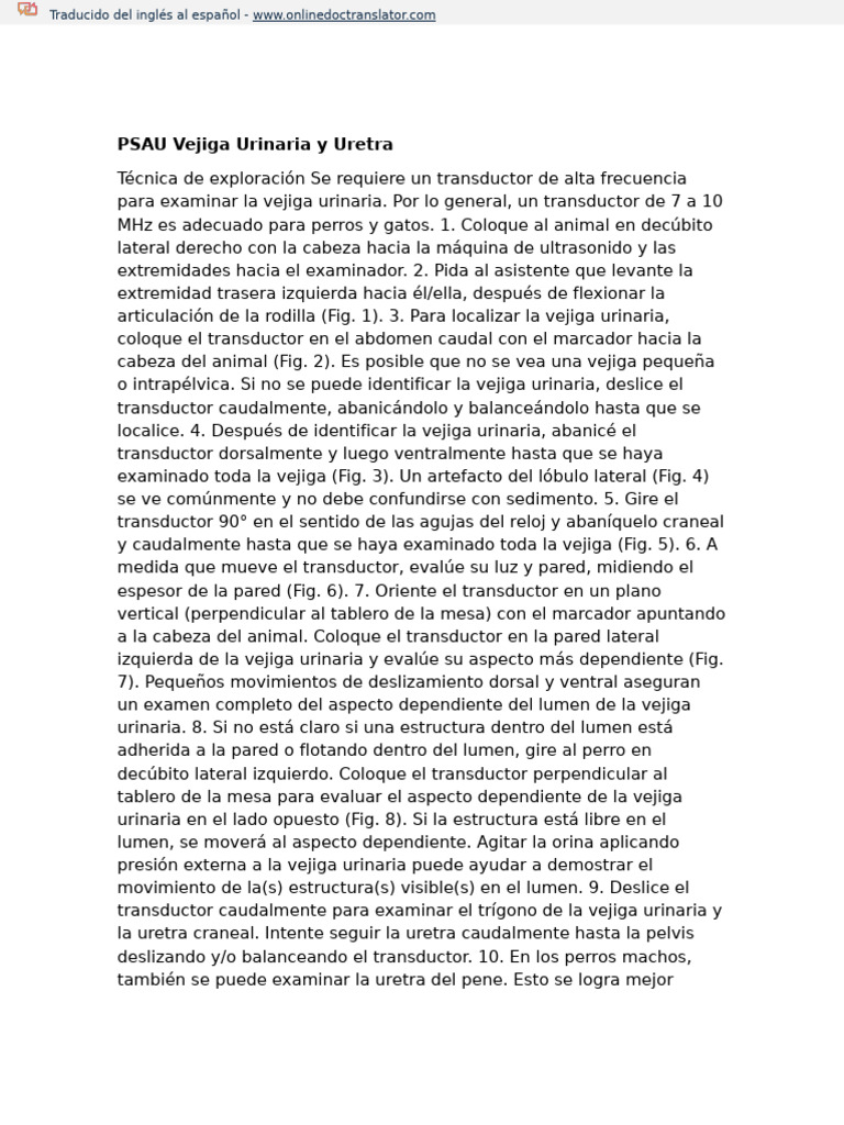 PSAU Vejiga Urinaria y Uretra - En.es | PDF | Especialidades Medicas | Sistema genitourinario