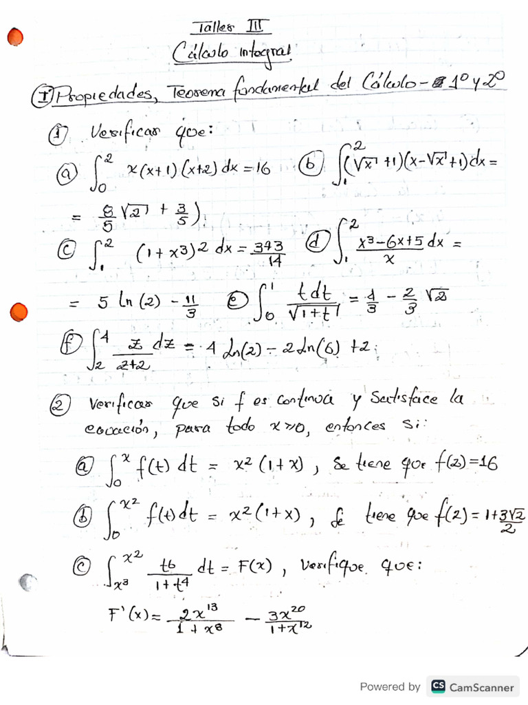 Taller Calculo Integral | PDF