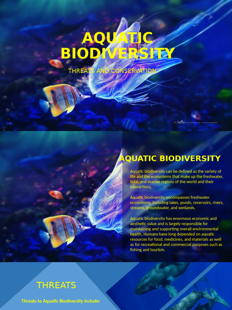 Threats to Aquatic Biodiversity and Conservation | PDF | Aquatic ...