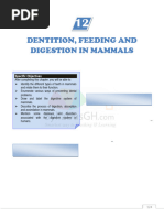 Using - Dentition To Age Cattle | PDF | Tooth | Dentistry