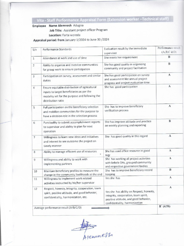 Performance Apprasl Alemnesh | PDF