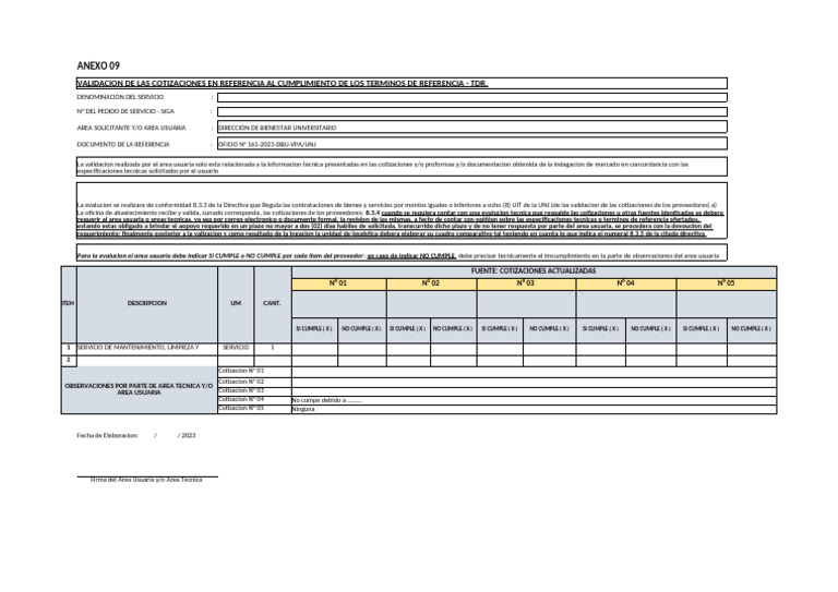 01 Formato TDR Validacion Areas Usuarias | PDF