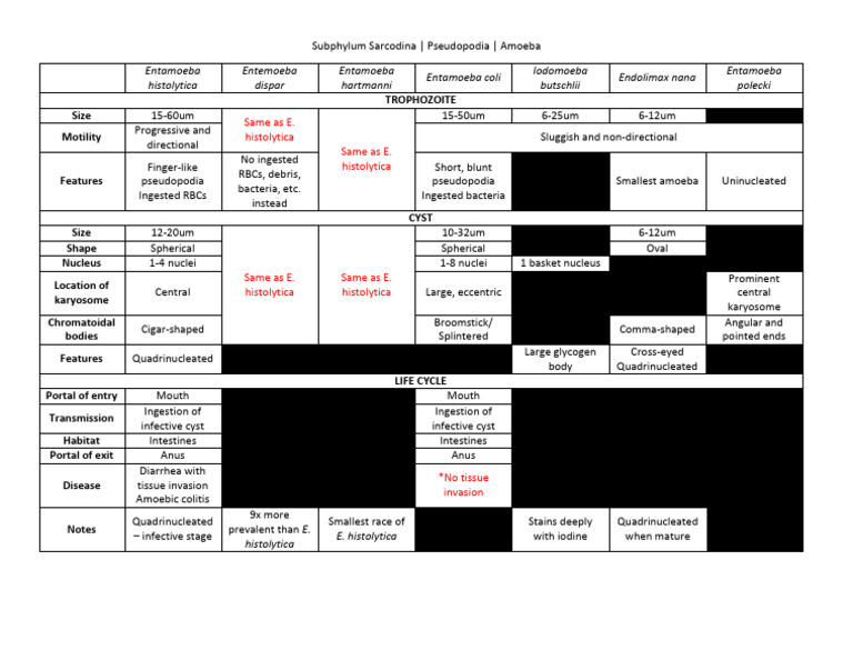 Overview of Subphylum Sarcodina | PDF