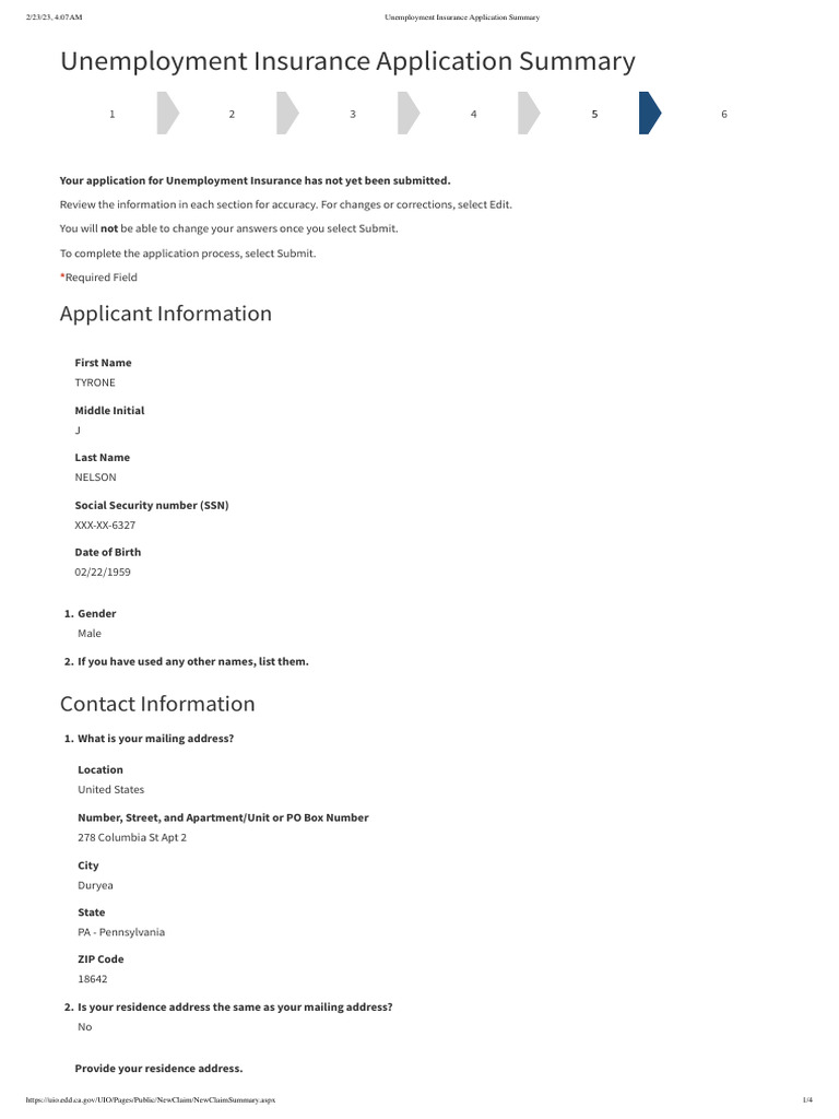 TYRONE Unemployment Insurance Application Summary | PDF | Employment | Self Employment