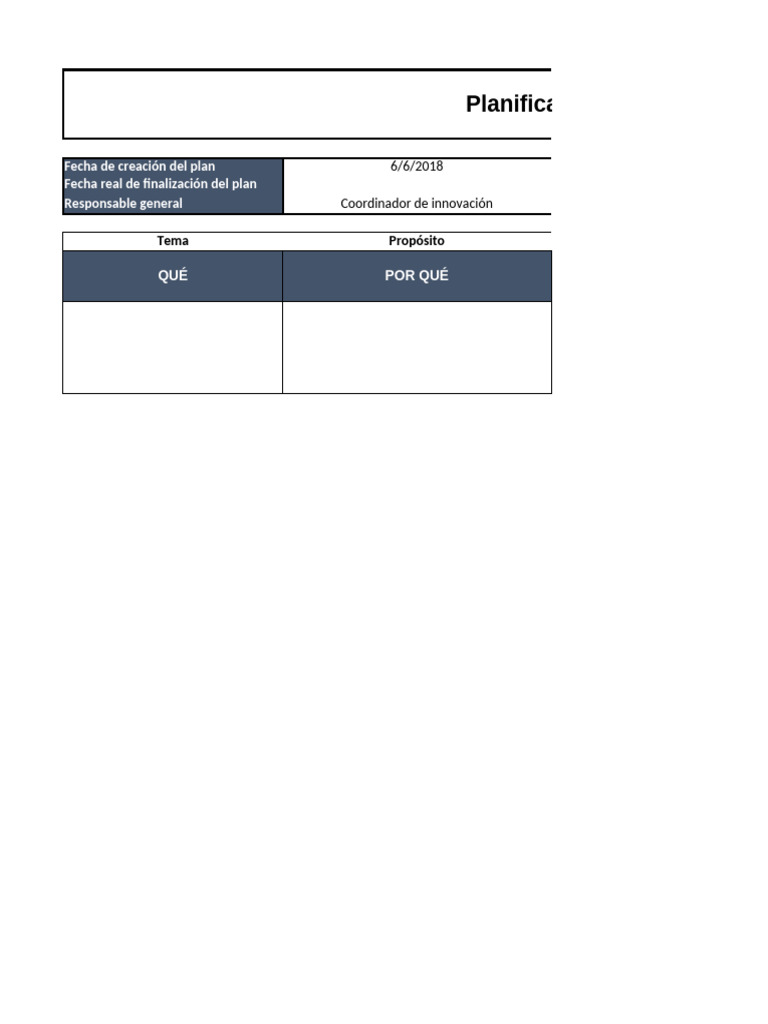 Plantilla Excel 5W2H | PDF