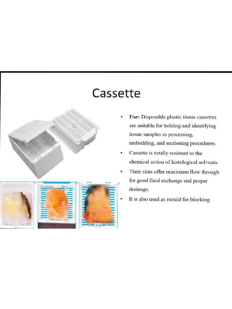 Patho Instruments 1 | PDF