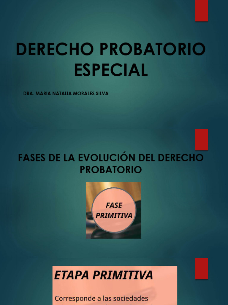 MATERIAL DE ESTUDIO No 1 DERECHO PROBATORIO PDF | PDF