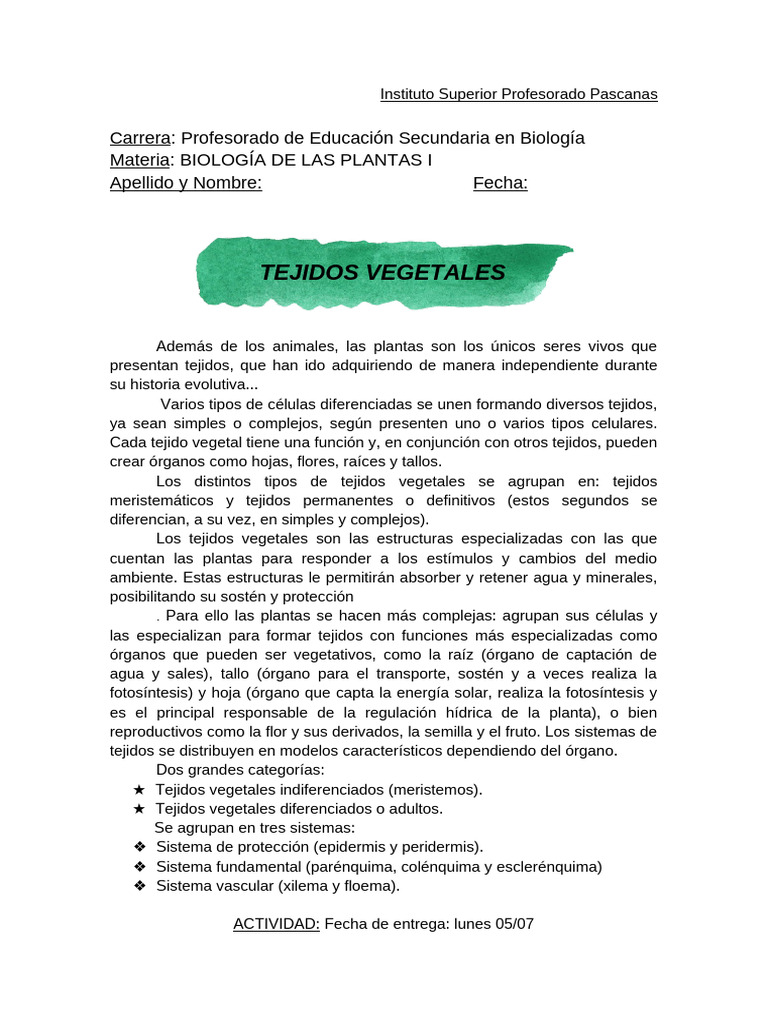 11 T.P-BP - Introducción Tejidos Vegetales. | PDF | Tejido (biología) | Raíz