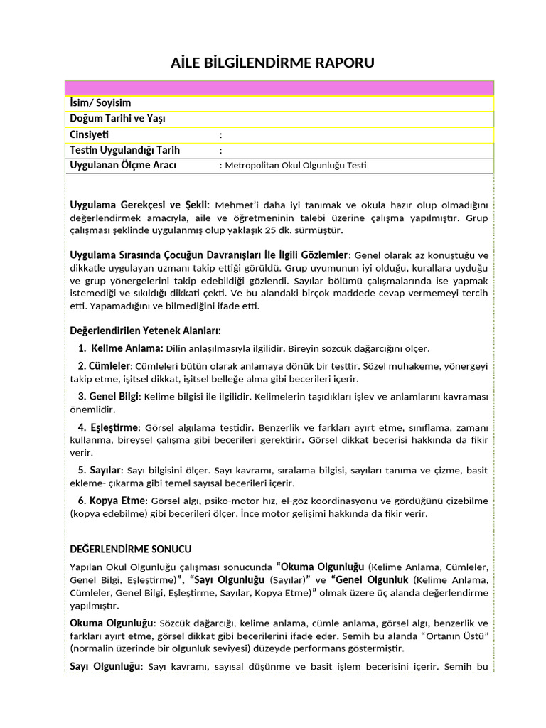 Metropolitan Rapor Ornegi | PDF