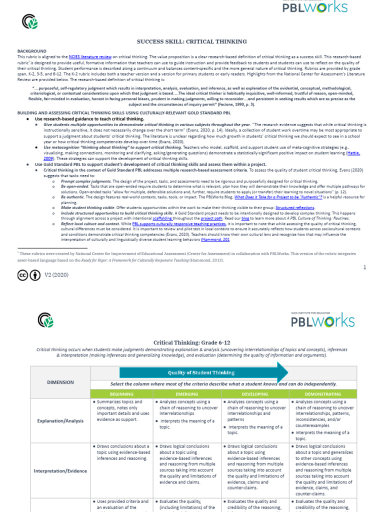 Critical Thinking Skills Assessment Rubric | PDF | Critical Thinking | Argument
