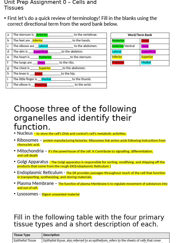 Completed_Unit Prep Assignment - Cells and Tissues | PDF | Endoplasmic Reticulum | Cell (Biology)