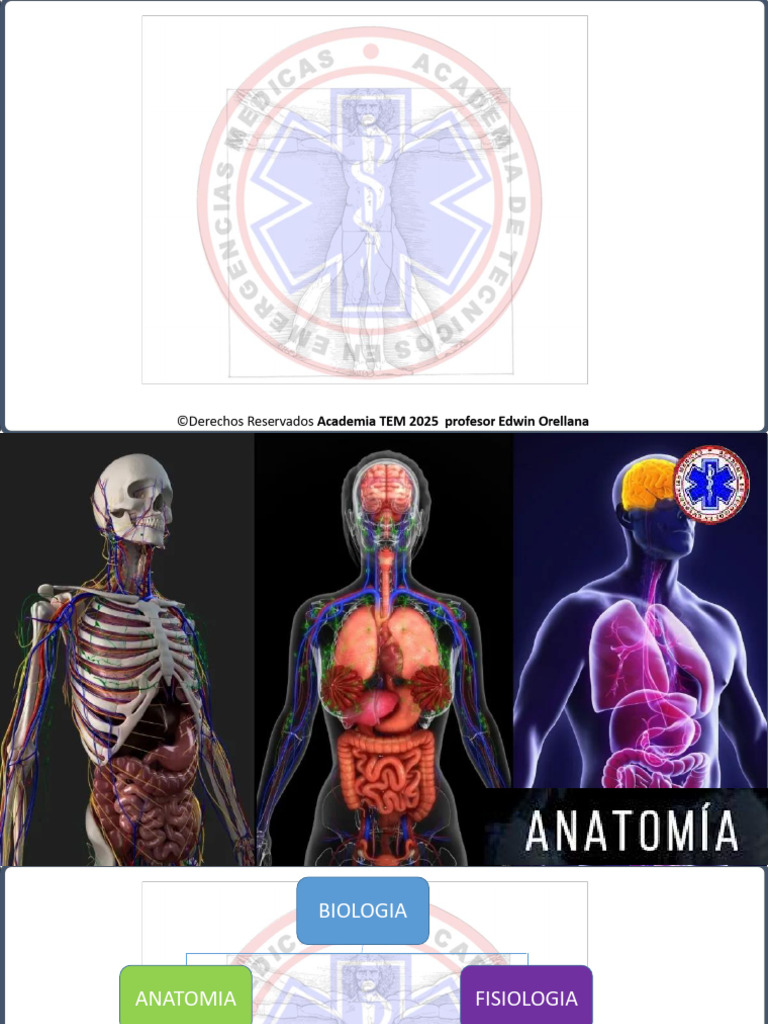 Clase 1 ANATOMIA POSICION ANATOMICA | PDF | Términos anatómicos de ...