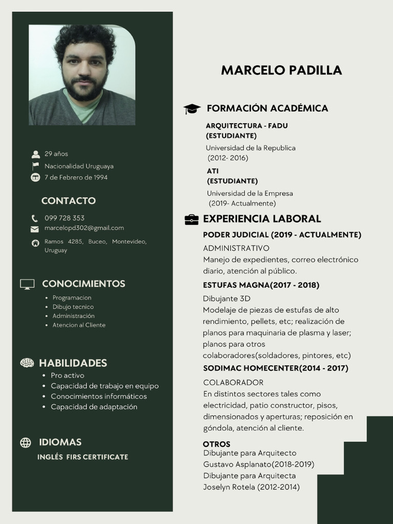 MARCELO PADILLA CV | PDF