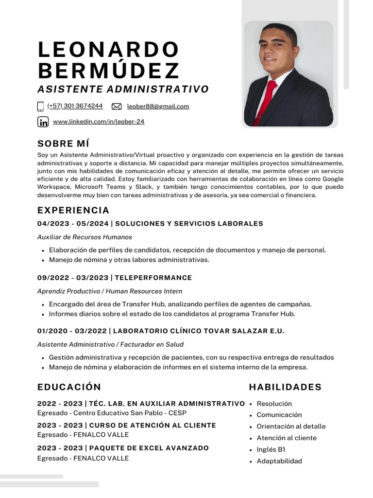 CV Leonardo Bermudez SP 2024 2 | PDF